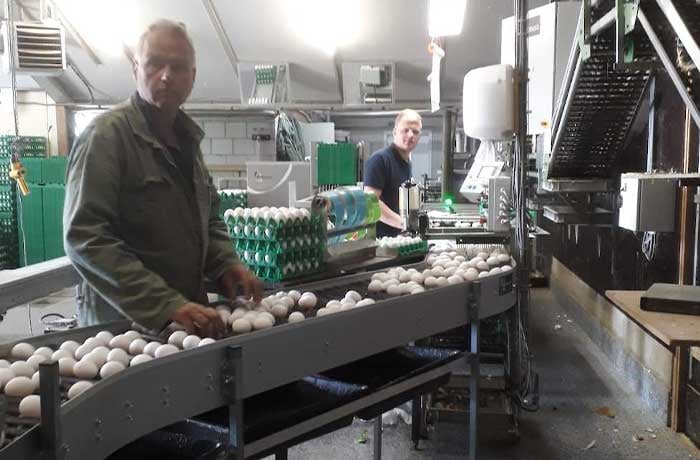 Prinzen - Vencomatic Group